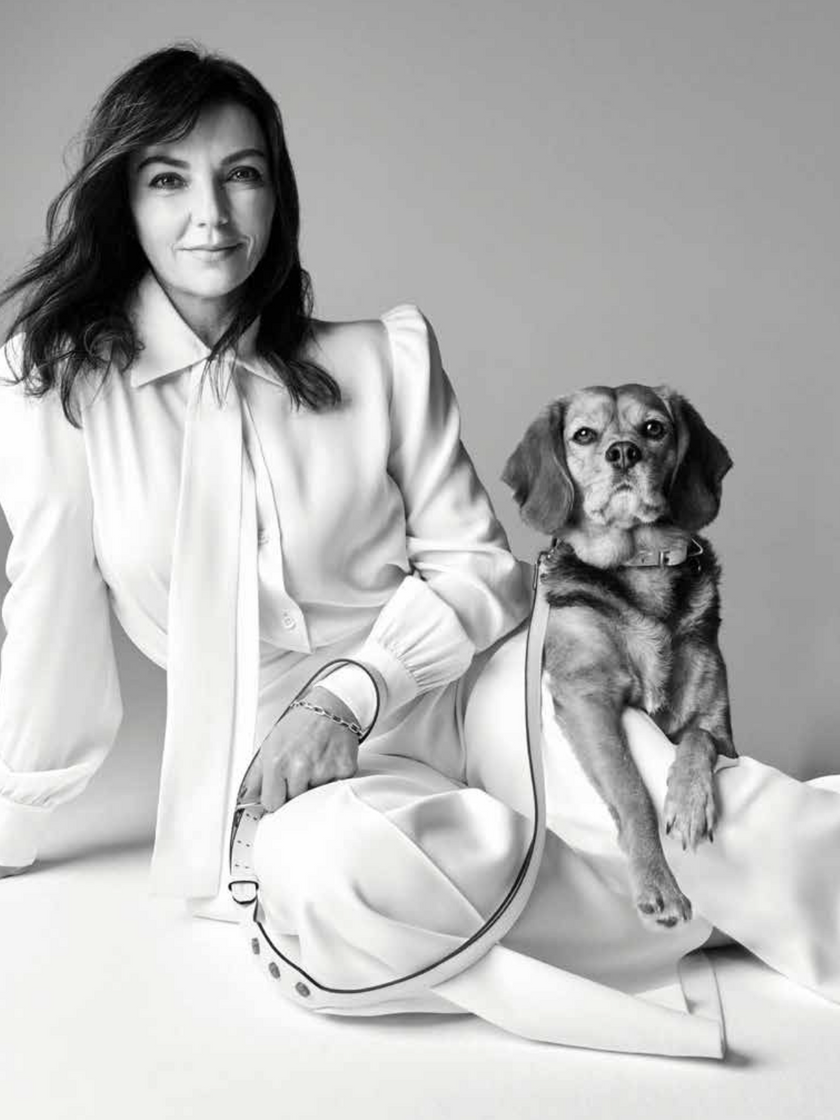 News | Get to Know Our Founder - The Animals™ Studio – THEANIMALS.STUDIO