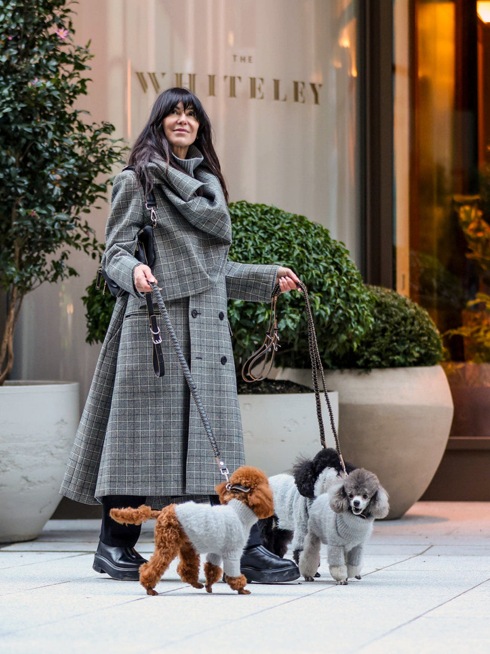 News | Get to Know Our Founder - The Animals™ Studio – THEANIMALS.STUDIO