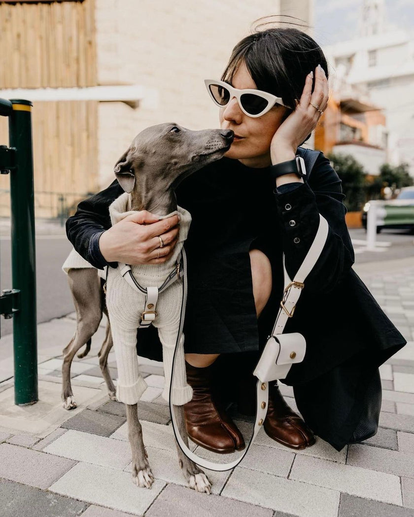 As Seen On: View our product photos | The Animals™ – THEANIMALS.STUDIO